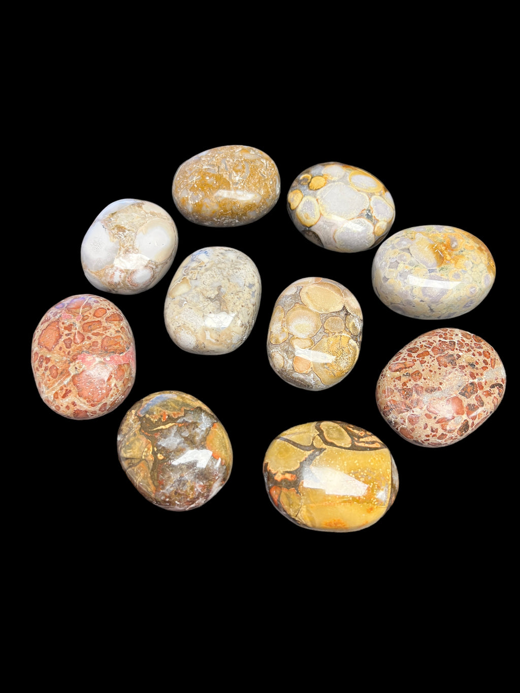 Conglomerate Palm Stones | Gem Center USA INC