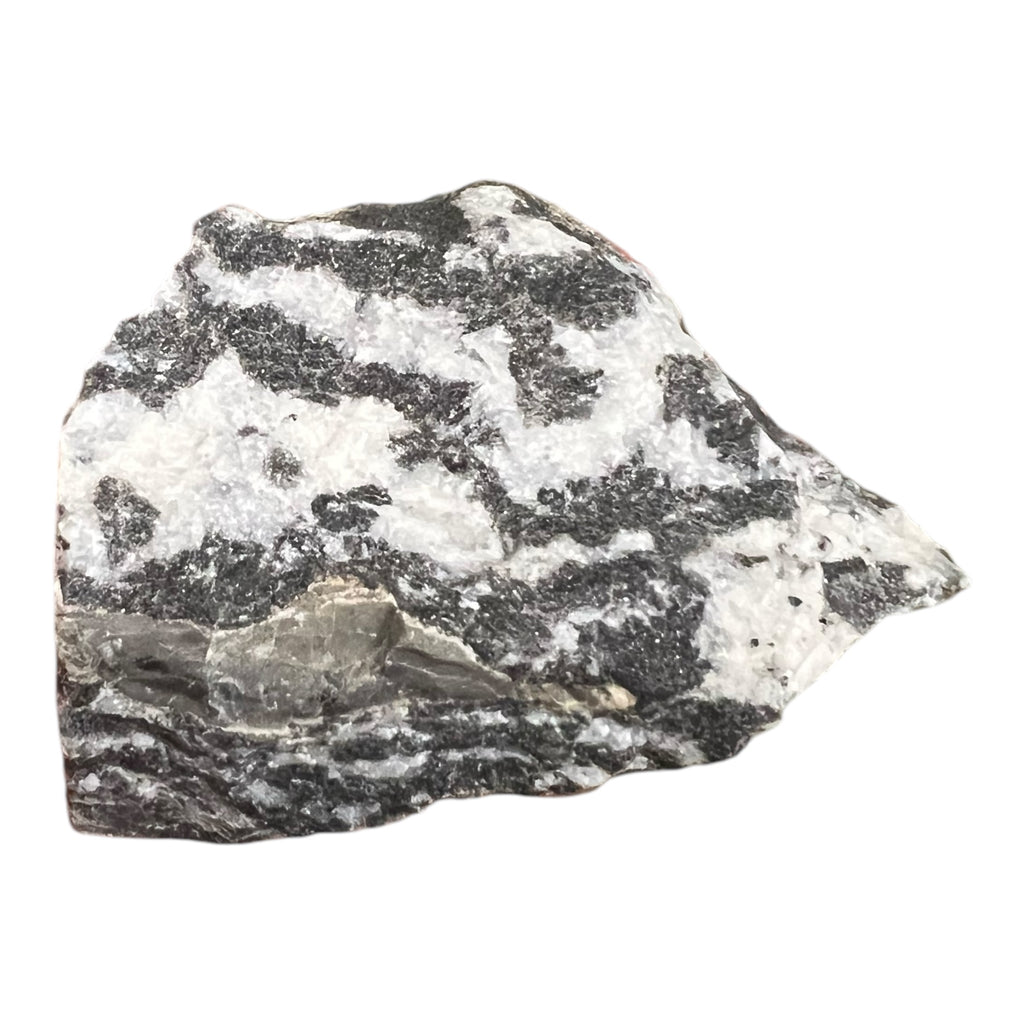 Zebra Stone Rough Specimens | Gem Center USA INC