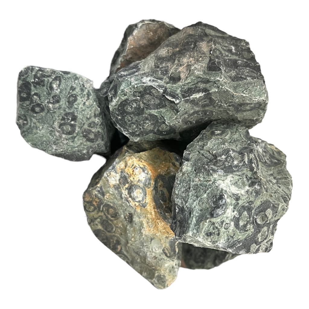 Kabamba Jasper Rough Specimens | Gem Center USA INC